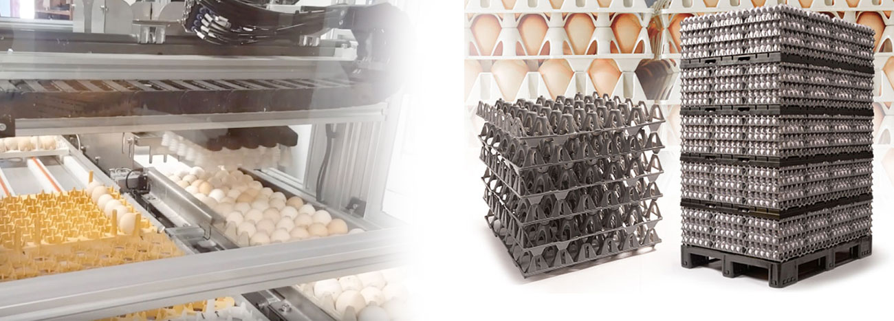 egg-transport | Northstar Hatchery Automation