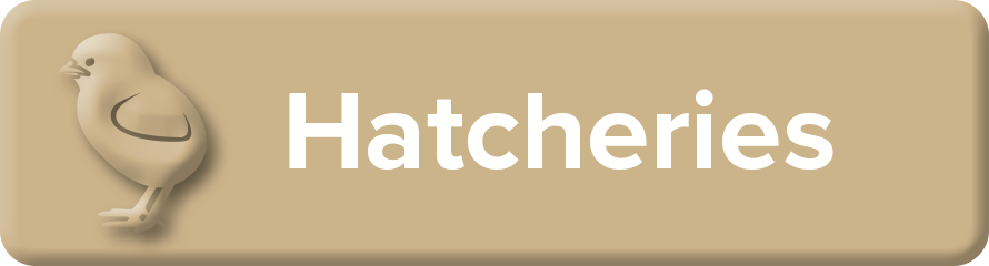 Northstar Hatchery Automation